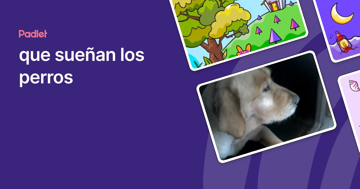 que sueñan los perros