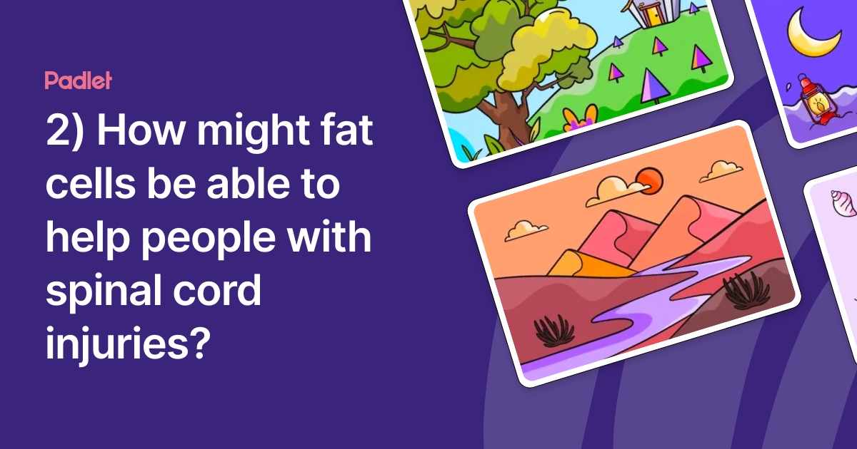2) How might fat cells be able to help people with spinal cord injuries?