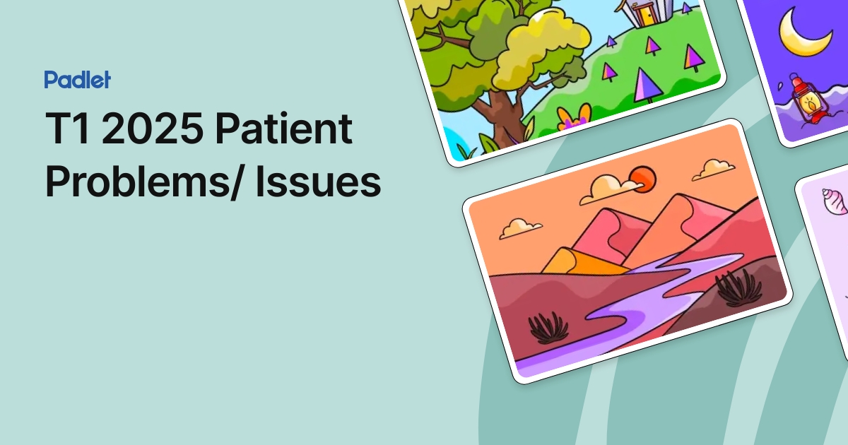 T1 2025 Patient Problems/ Issues