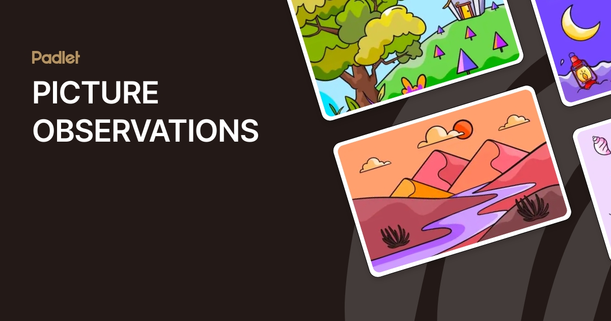 PICTURE OBSERVATIONS