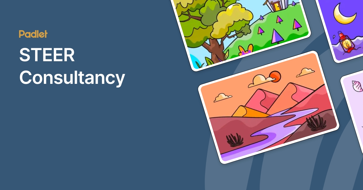 STEER Consultancy
