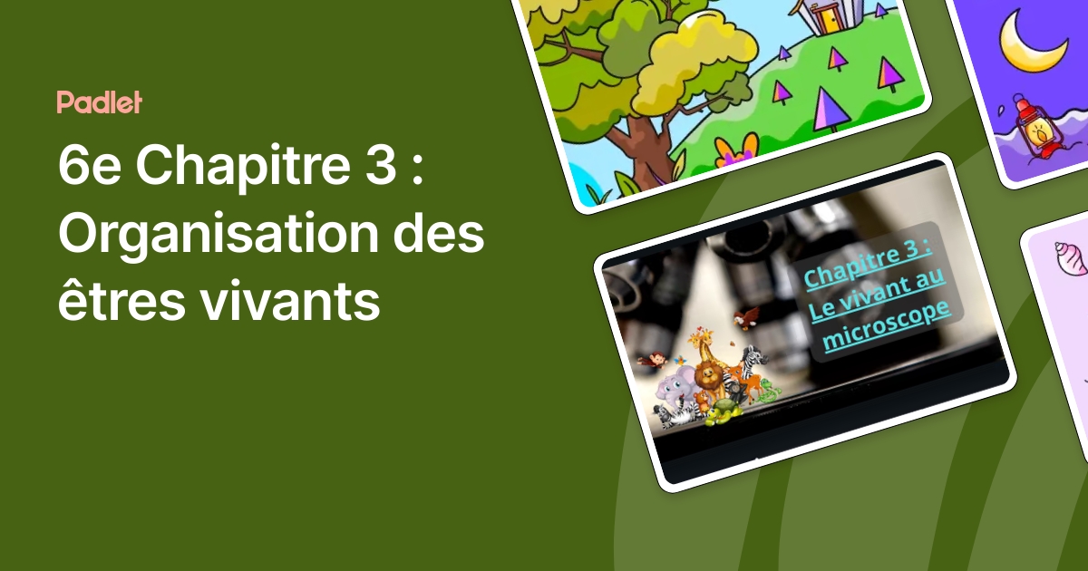 6e Chapitre 3 : Organisation des êtres vivants