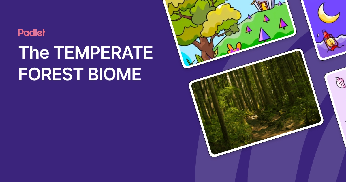 The TEMPERATE FOREST BIOME