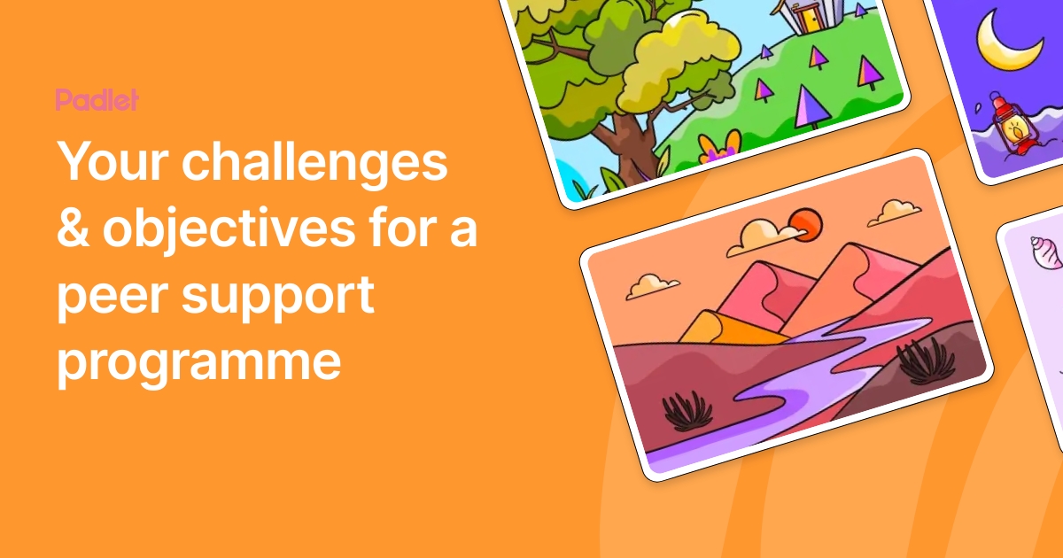 Your challenges & objectives for a peer support programme