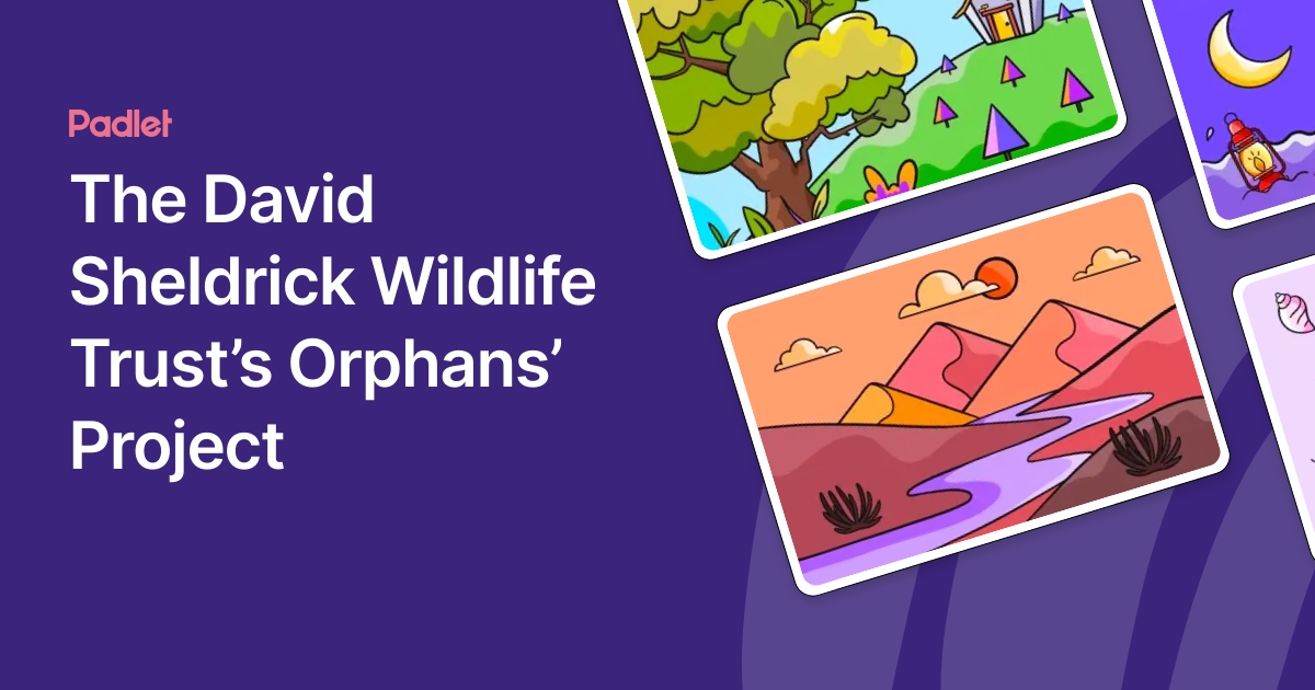 The David Sheldrick Wildlife Trust’s Orphans’ Project