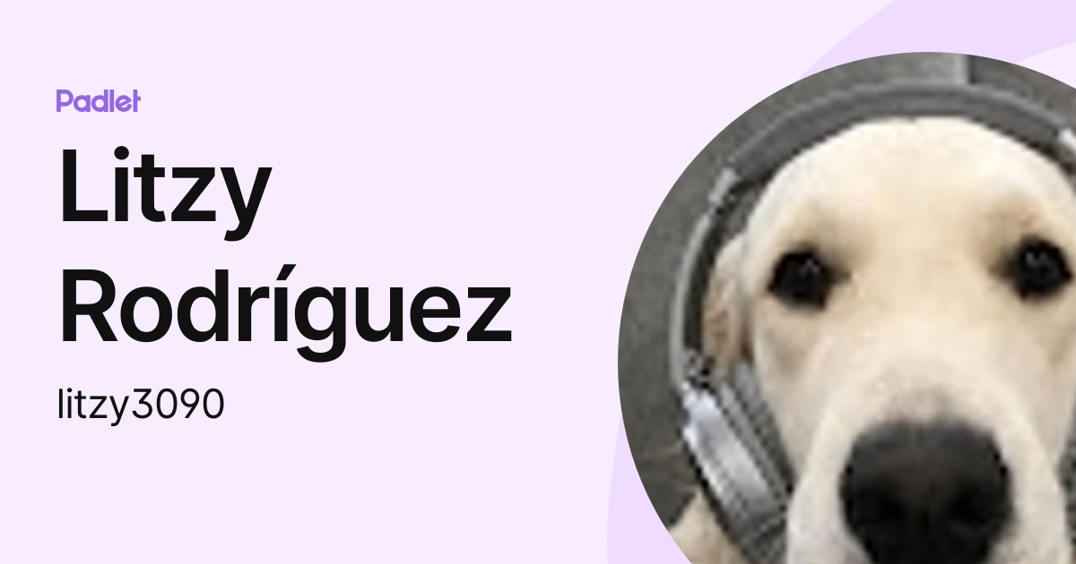 Litzy Rodríguez (litzy3090) profile | Padlet