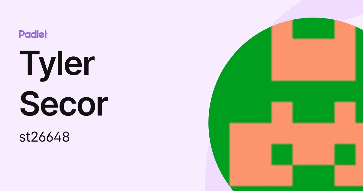 Tyler Secor (st26648) profile | Padlet