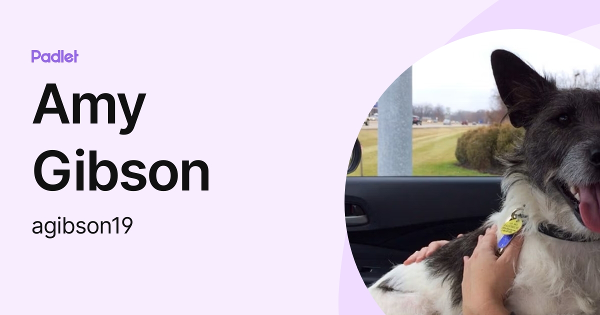 Amy Gibson (agibson19) profile | Padlet