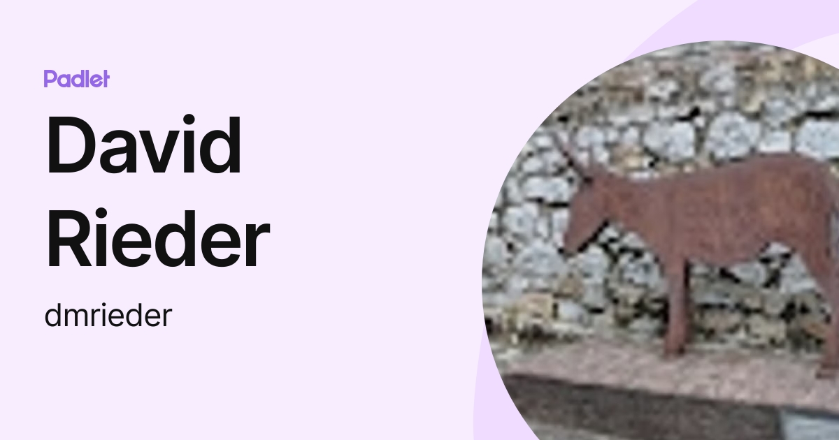 David Rieder (dmrieder) profile | Padlet