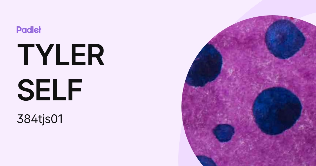 TYLER SELF (384tjs01) profile | Padlet