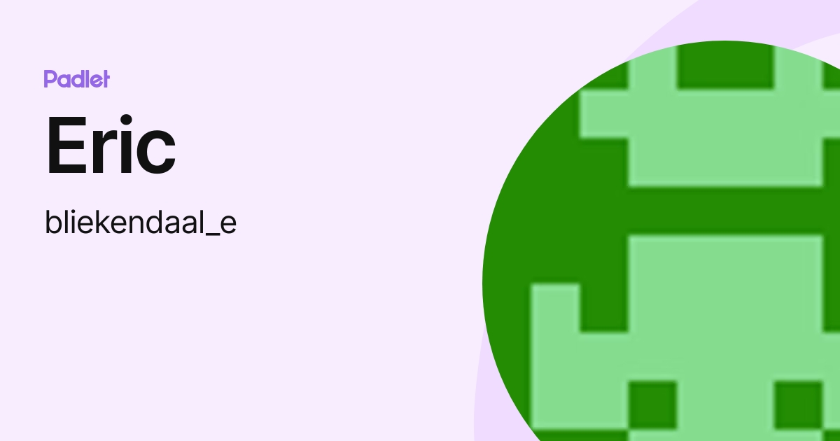 Eric Bliekendaal E Profile Padlet