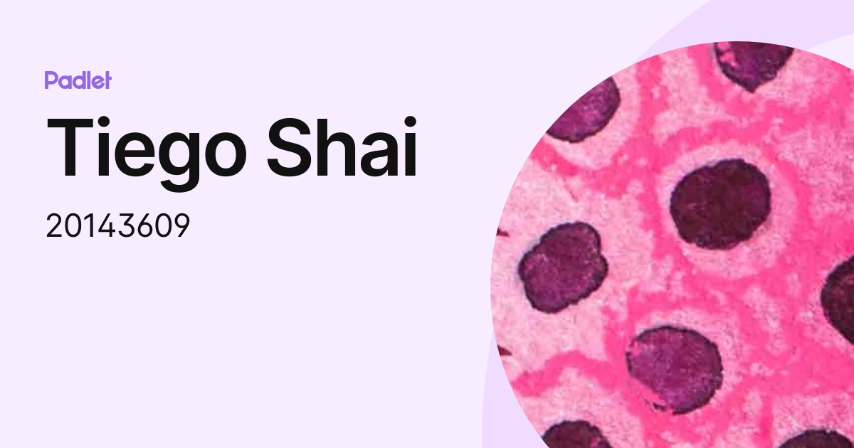 Tiego Shai (20143609) profile | Padlet