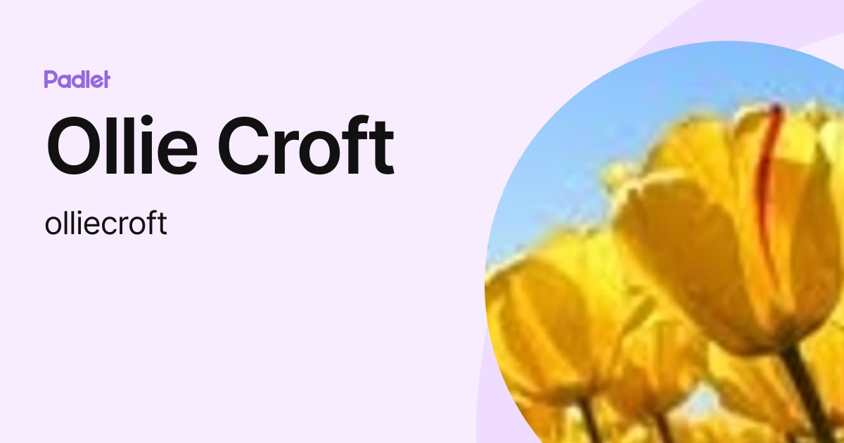 Ollie Croft (olliecroft) profile | Padlet