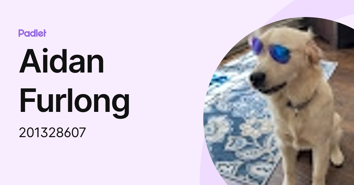 Aidan Furlong (201328607) profile | Padlet