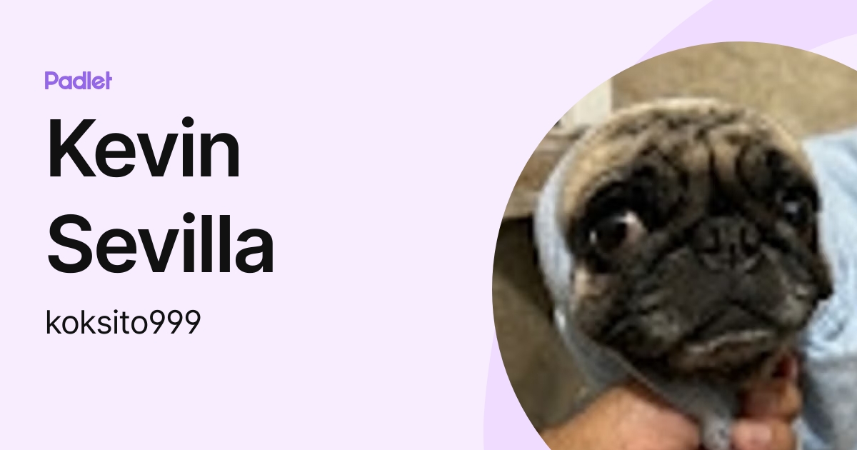 Kevin Sevilla (koksito999) profile | Padlet