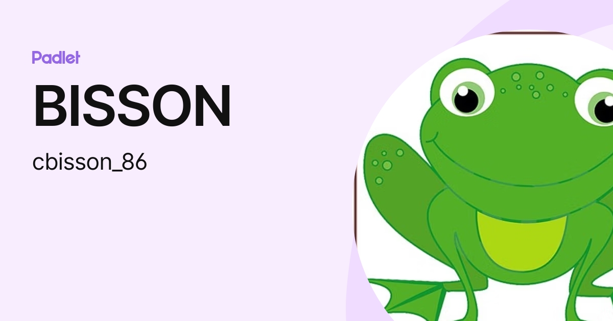 BISSON (cbisson_86) profile | Padlet