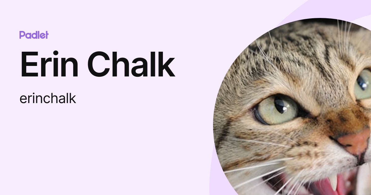 Erin Chalk Erinchalk Profile Padlet