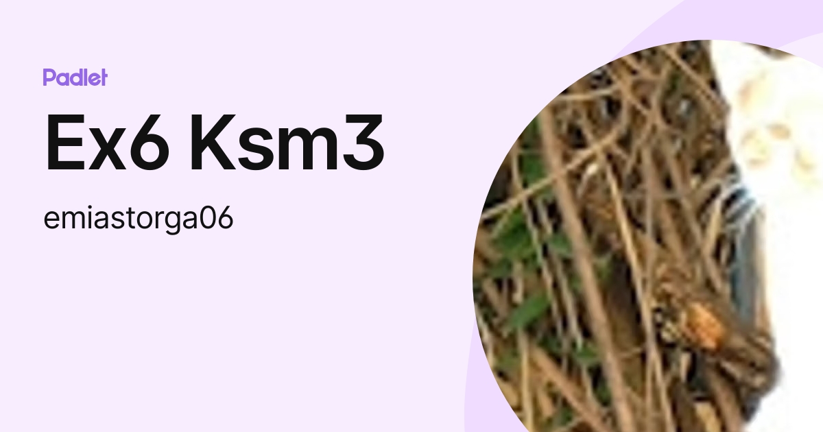 Ex6 Ksm3 (emiastorga06) profile | Padlet
