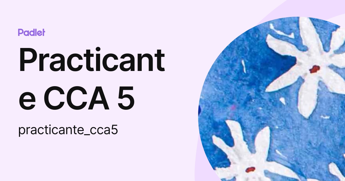 Practicante CCA 5 (practicante_cca5) profile | Padlet