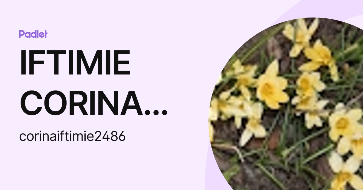 IFTIMIE CORINAMIHAELA (corinaiftimie2486) profile | Padlet