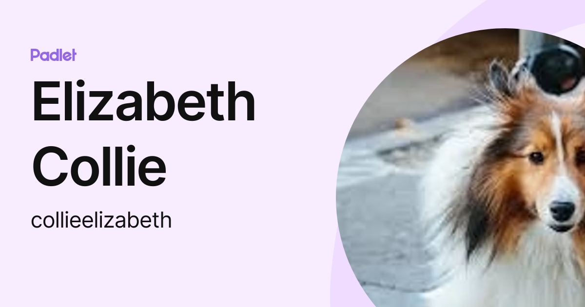 Elizabeth Collie (collieelizabeth) profile | Padlet