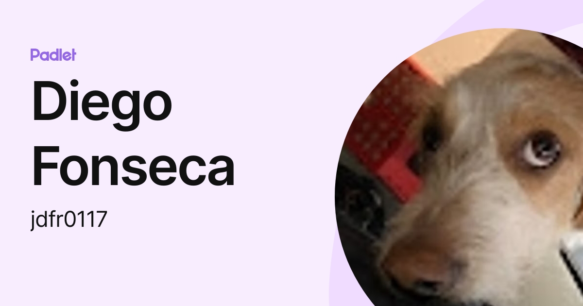 Diego Fonseca (jdfr0117) profile | Padlet