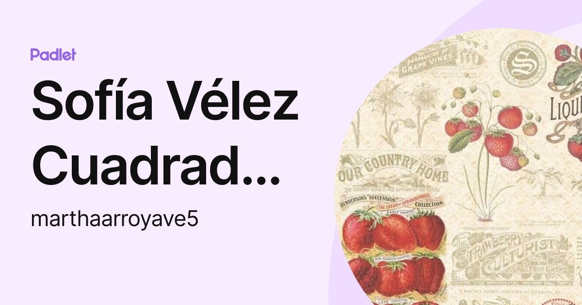 Sofía Vélez Cuadrado 6to B (marthaarroyave5) profile | Padlet