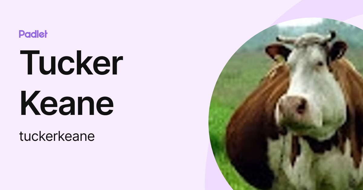 Tucker Keane (tuckerkeane) profile | Padlet