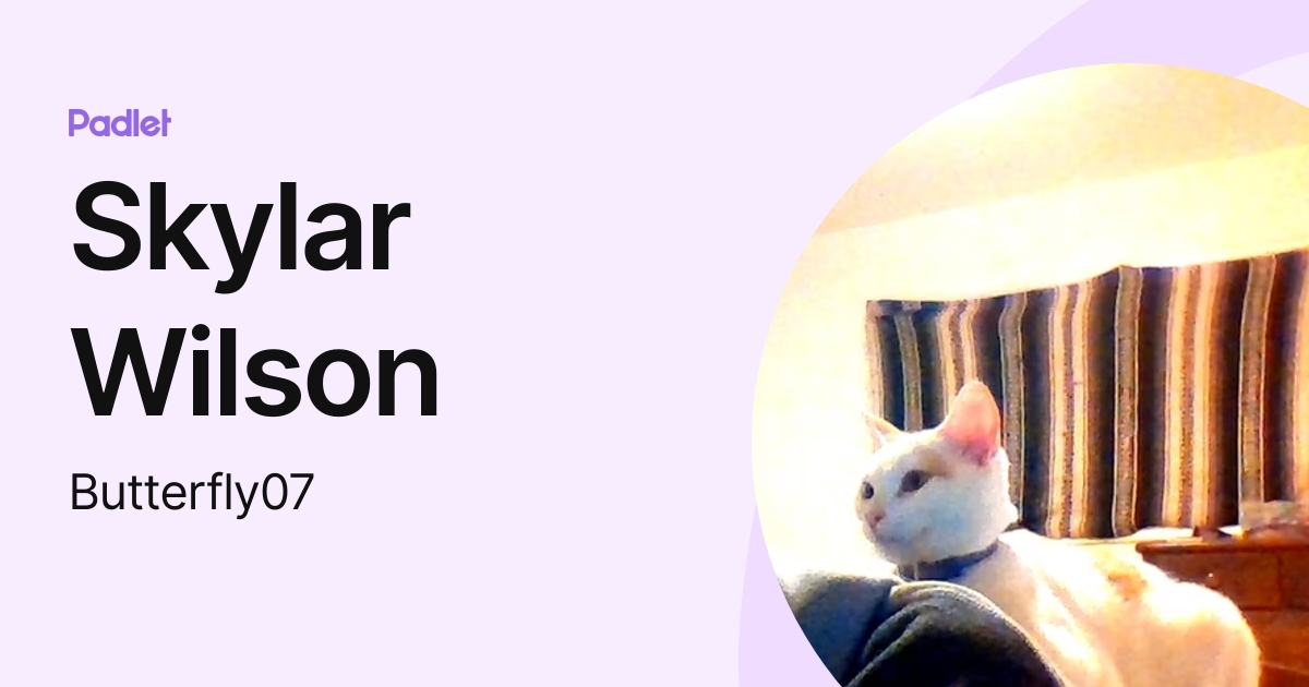 Skylar Wilson (Butterfly07) profile | Padlet