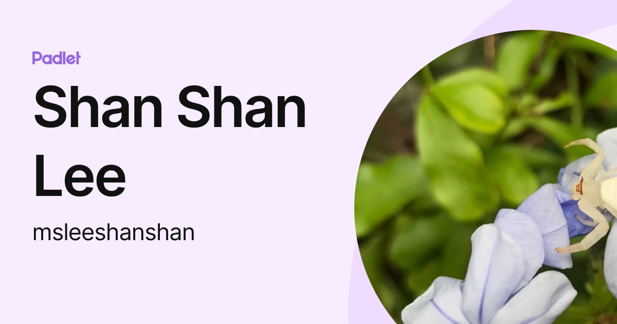 Shan Shan Lee (msleeshanshan) profile | Padlet