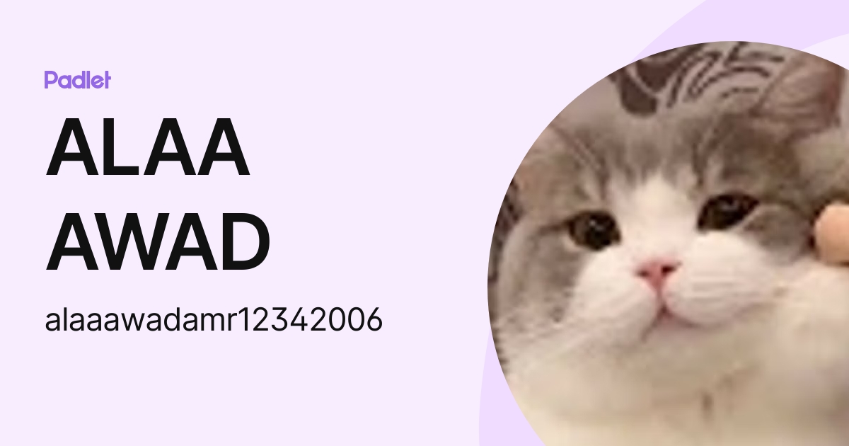 ALAA AWAD (alaaawadamr12342006) profile | Padlet
