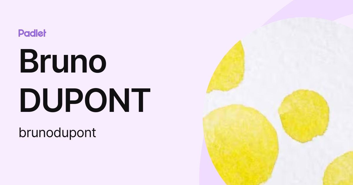 Bruno DUPONT (brunodupont) profile | Padlet
