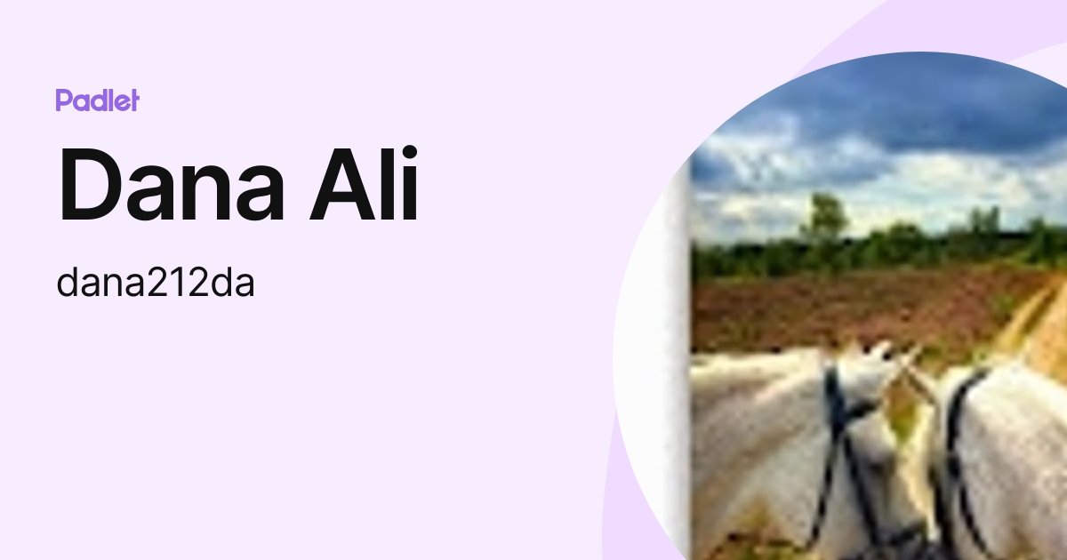 Dana Ali (dana212da) profile | Padlet