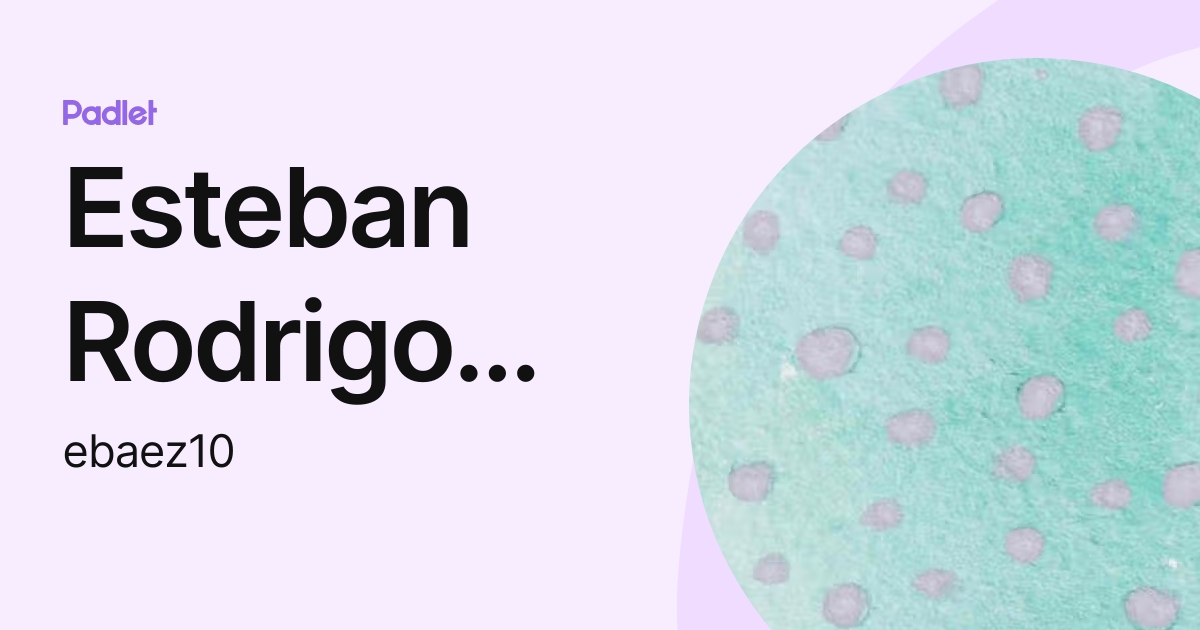 Esteban Rodrigo Baez Bello (ebaez10) profile | Padlet