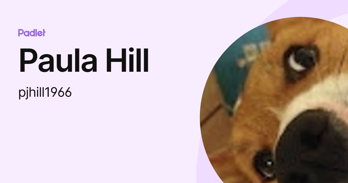 Paula Hill (pjhill1966) profile | Padlet