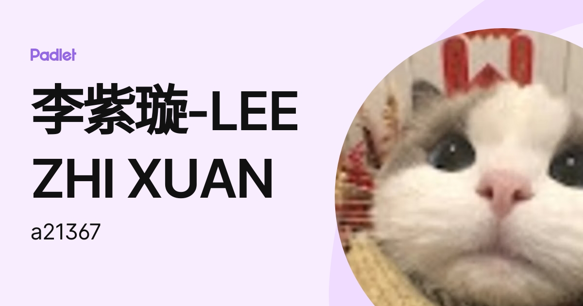 李紫璇-LEE ZHI XUAN (a21367) profile | Padlet