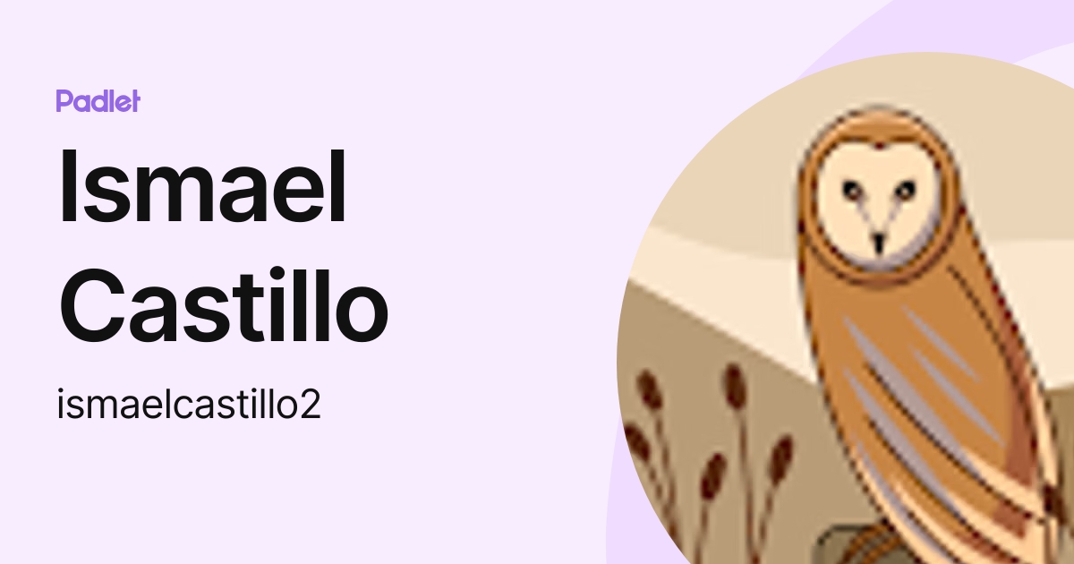Ismael Castillo (ismaelcastillo2) profile | Padlet