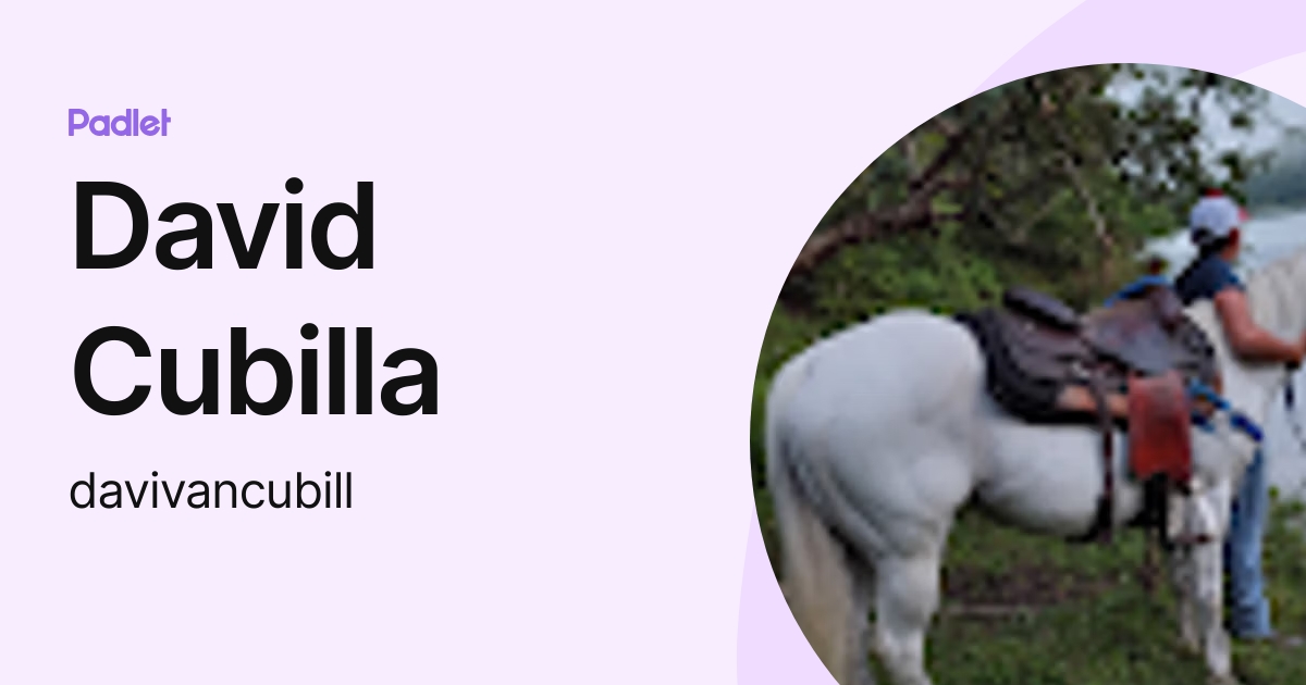 David Cubilla (davivancubill) profile | Padlet