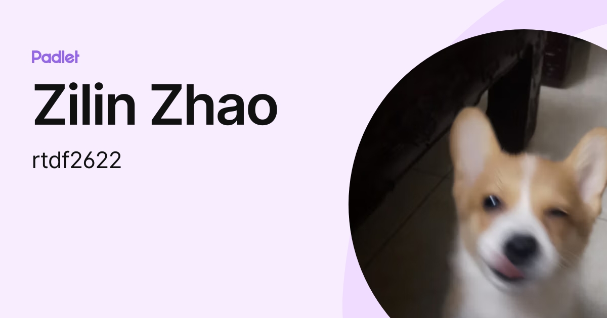 Zilin Zhao (rtdf2622) profile | Padlet