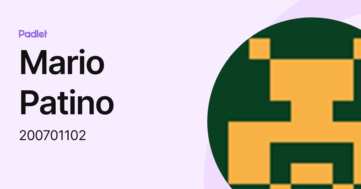 Mario Patino (200701102) profile | Padlet