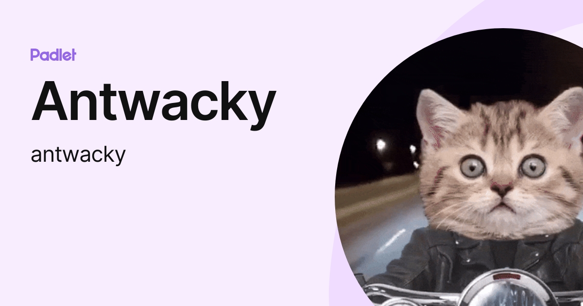 Antwacky (antwacky) profile | Padlet