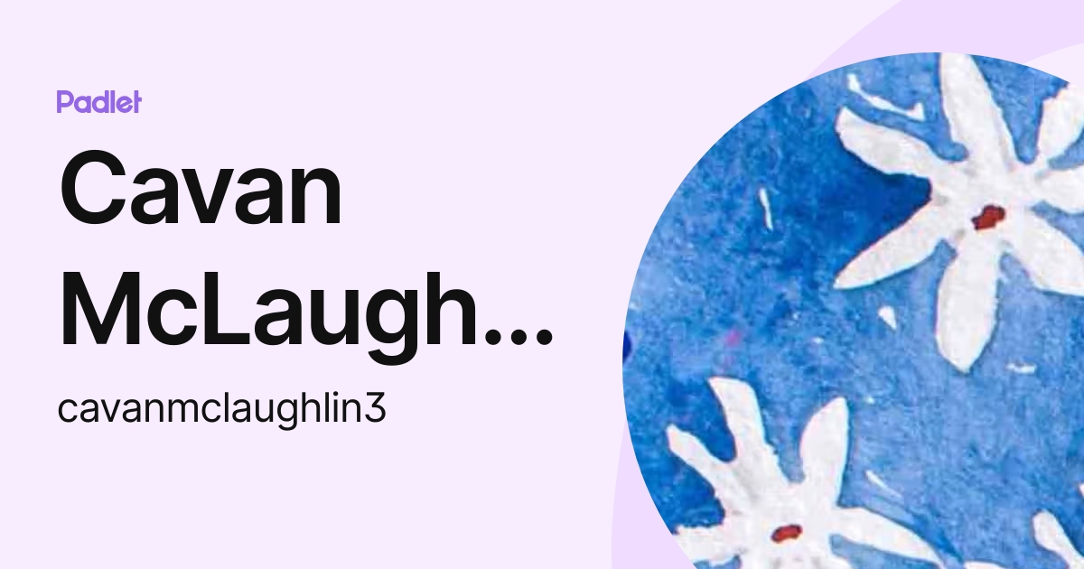 Cavan McLaughlin (cavanmclaughlin3) profile | Padlet