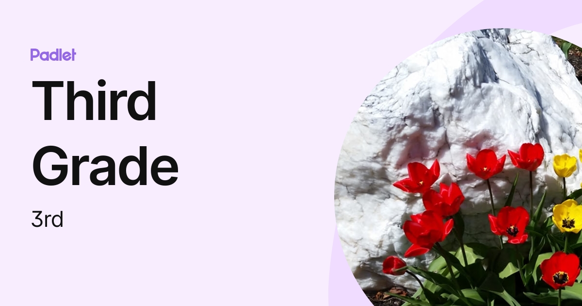 Third Grade (3rd) profile | Padlet