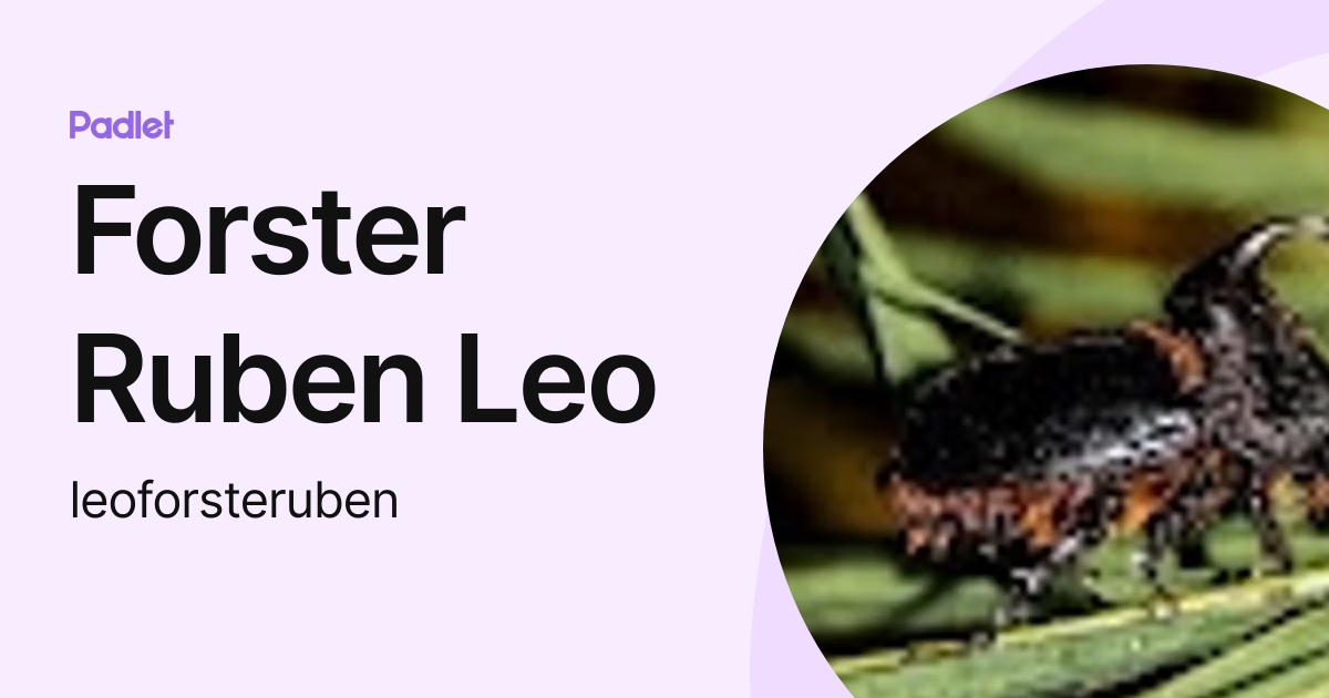 Forster Ruben Leo (leoforsteruben) profile | Padlet