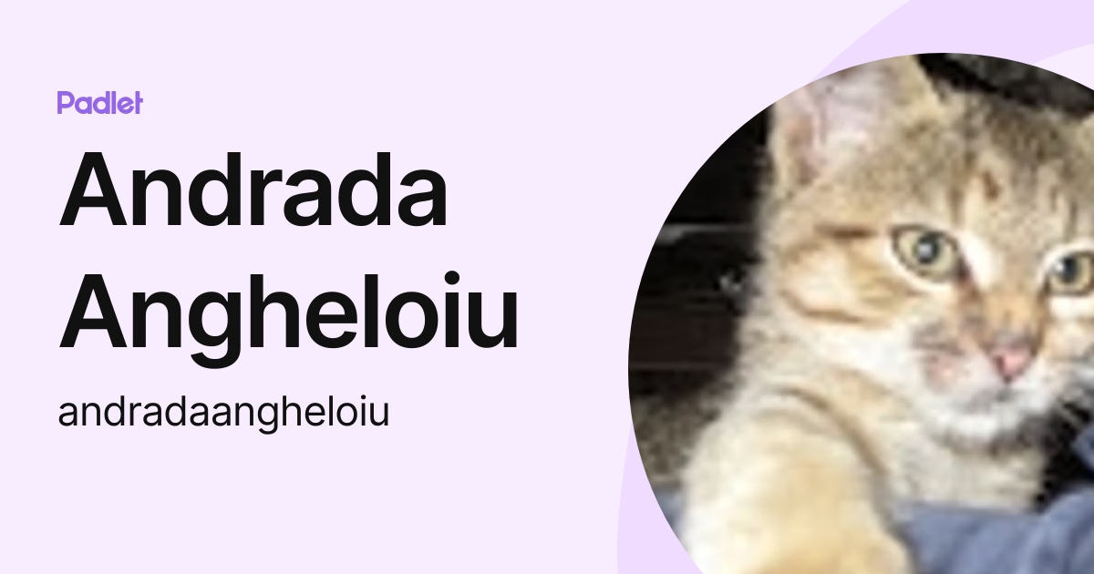 Andrada Angheloiu (andradaangheloiu) profile | Padlet
