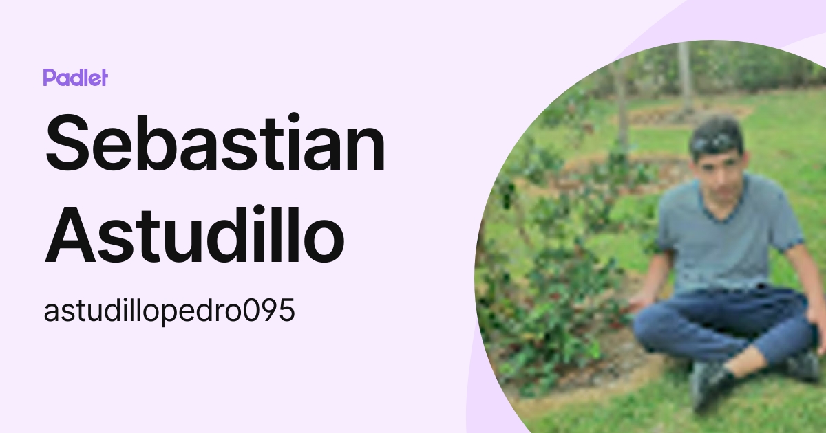 Sebastian Astudillo (astudillopedro095) profile | Padlet