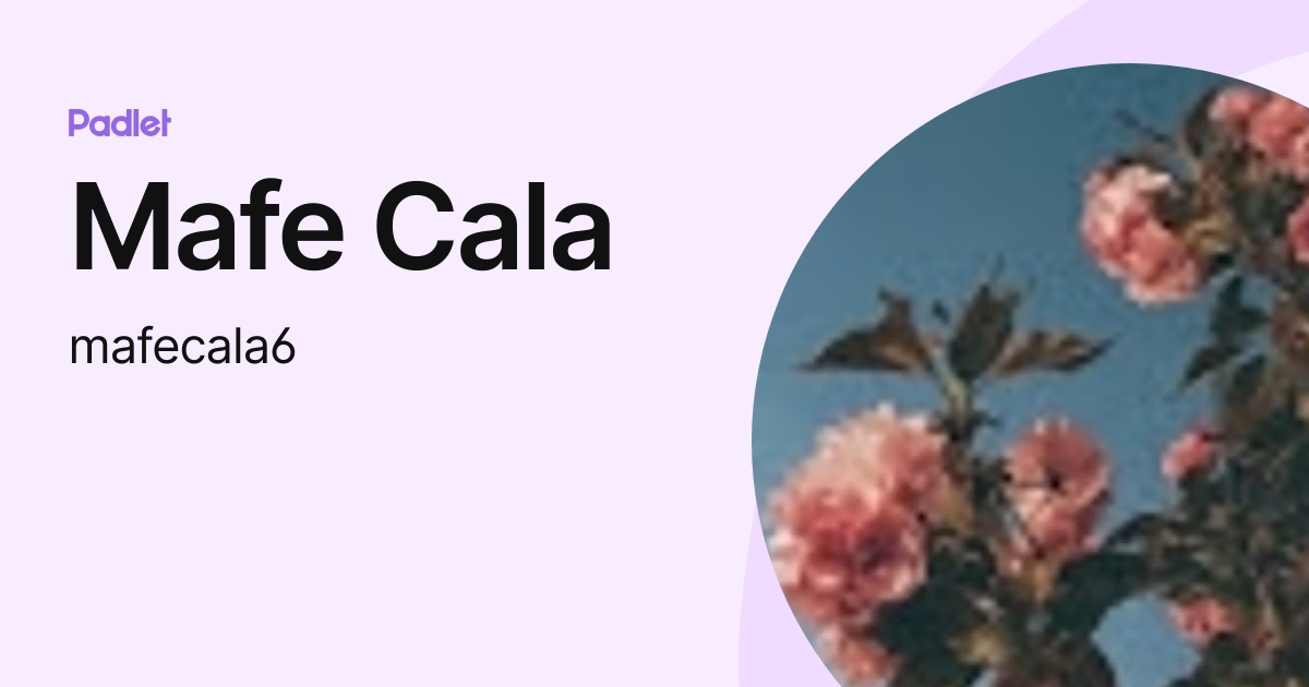 Mafe Cala (mafecala6) profile | Padlet