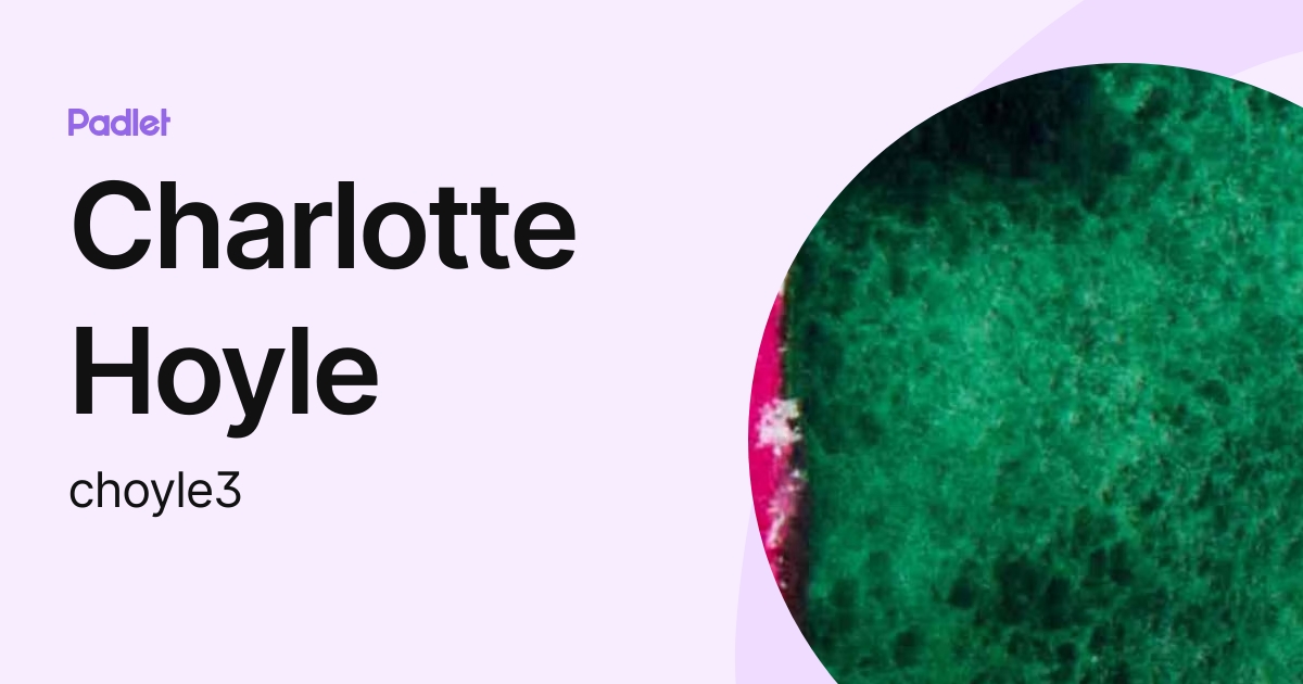 Charlotte Hoyle (choyle3) profile | Padlet
