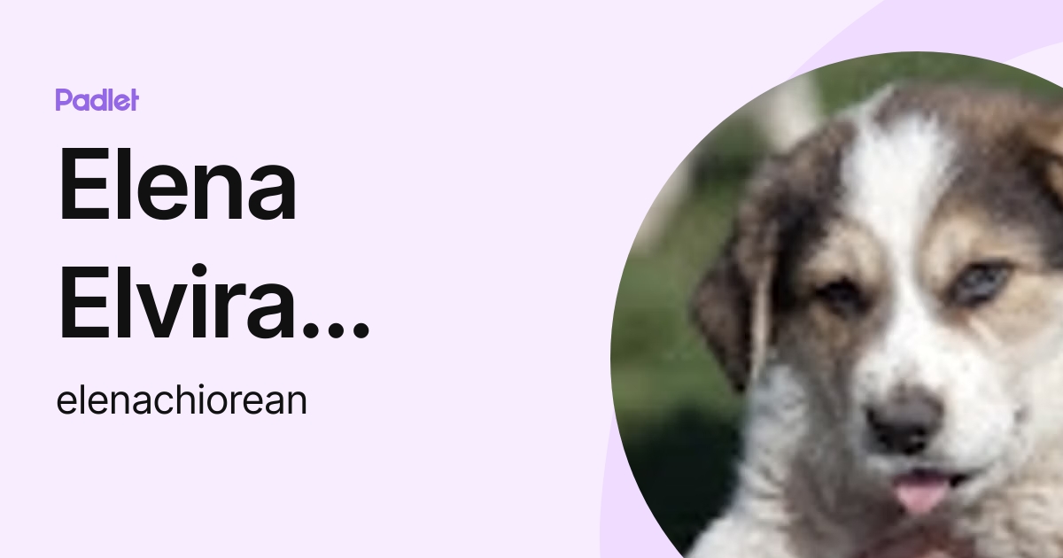 Elena Elvira Chiorean (elenachiorean) profile | Padlet
