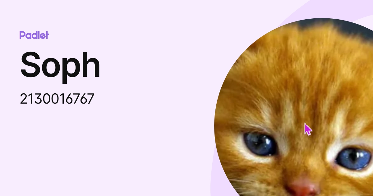 Soph 2130016767 Profile Padlet